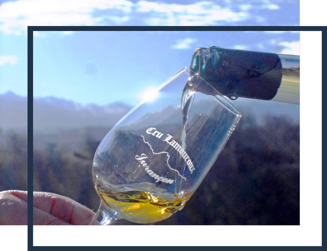 Accueil Jurançon Cru Lamouroux